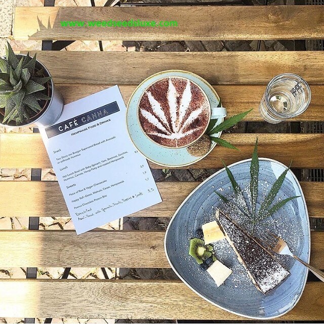 France et CBD : où en est la législation ? | Weed Seeds Luxe