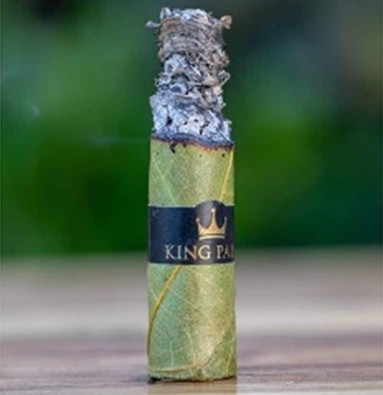 KING PALM - 5 X ROLLIES - WEEDSEEDSLUXE.COM
